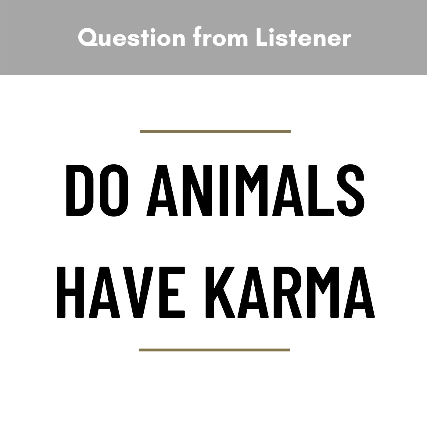 Q & A: Do Animals Have Karma?